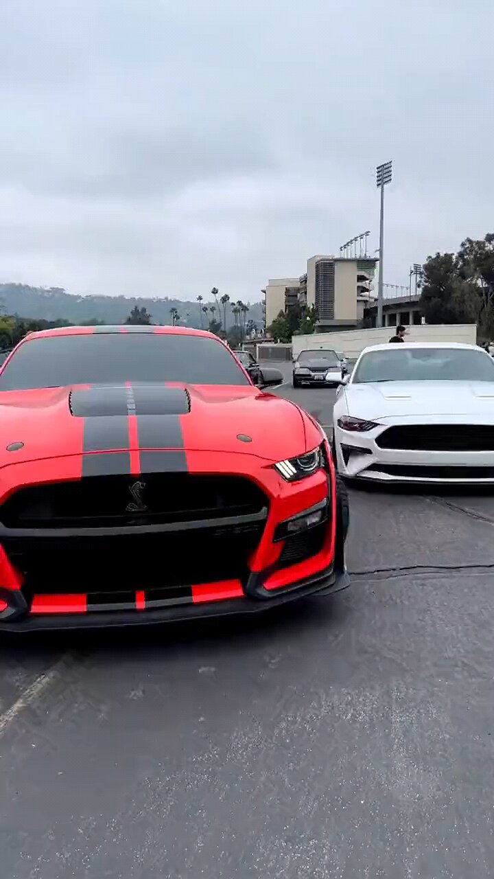 MUSTANG GT Edit😈 | Ford Muscle Car Edit 🔥 | mustang #caredit#fordmustanf