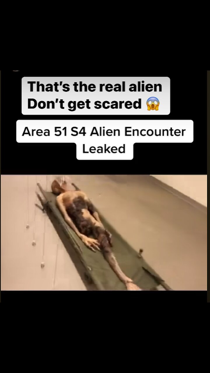 That's the REAL ALIEN Don't get SCARED.