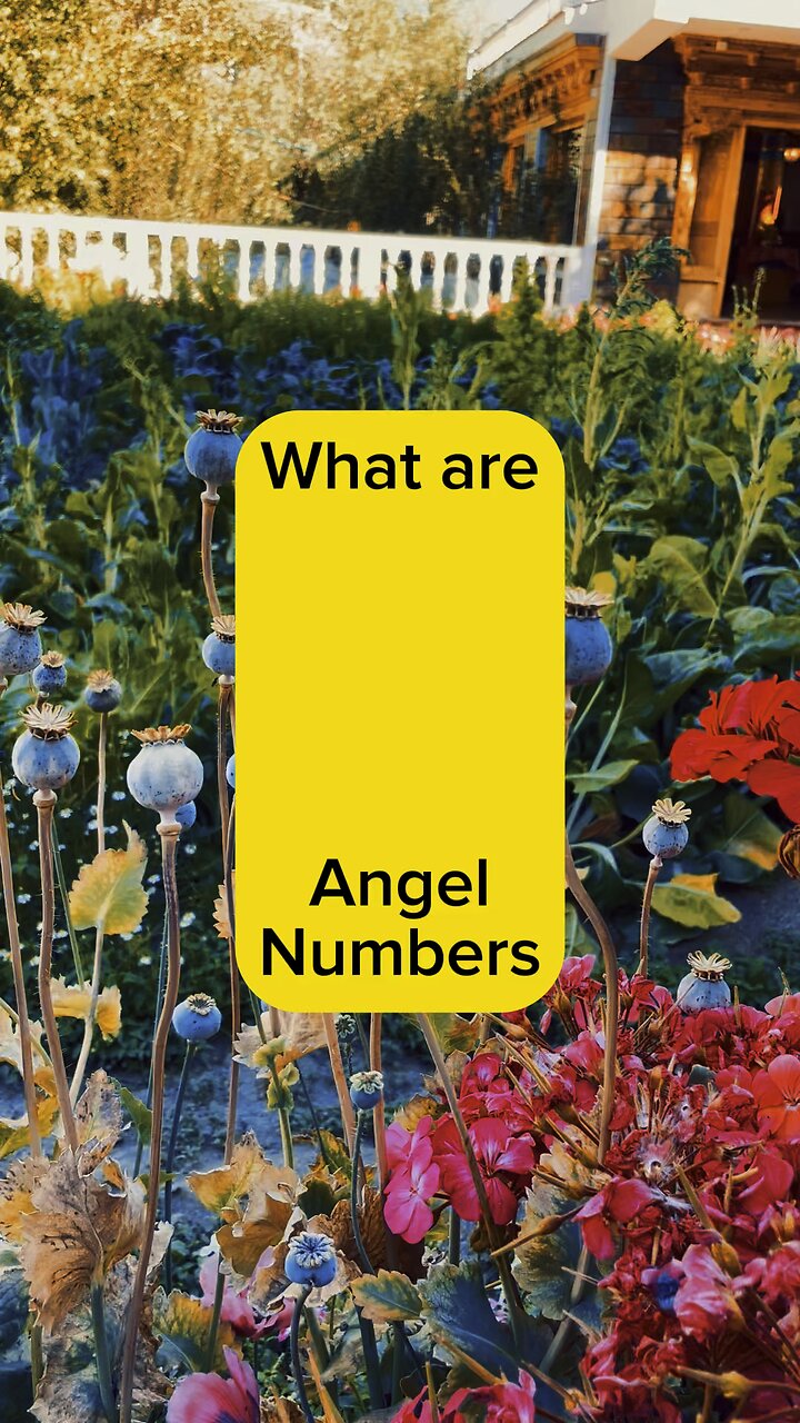 What are angel numbers?