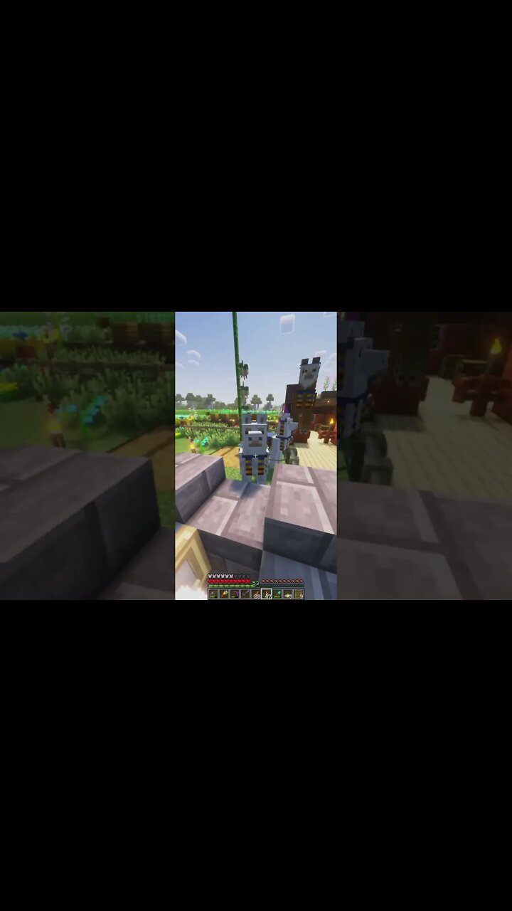 Minecraft 1.19 Server New Shaders & Mods Survival Multiplayer Java SMP ...