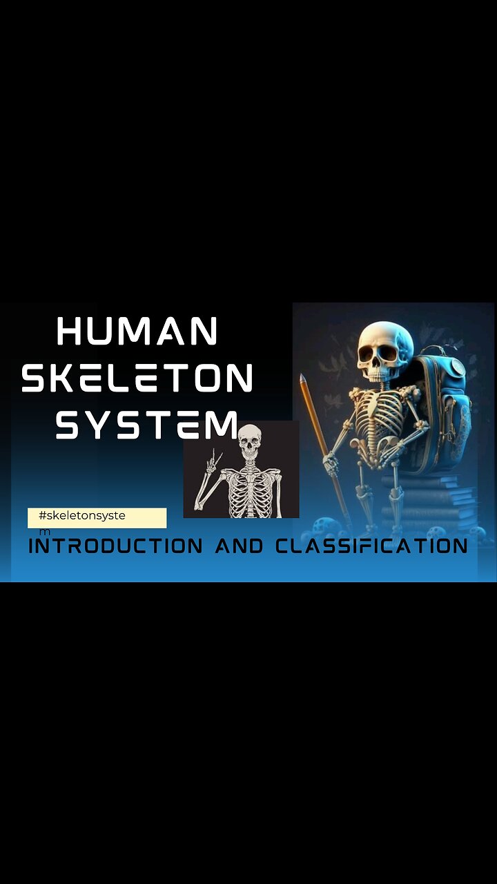 Exploring the Human Skeleton System #skeleton #anatomy #bones #medical ...