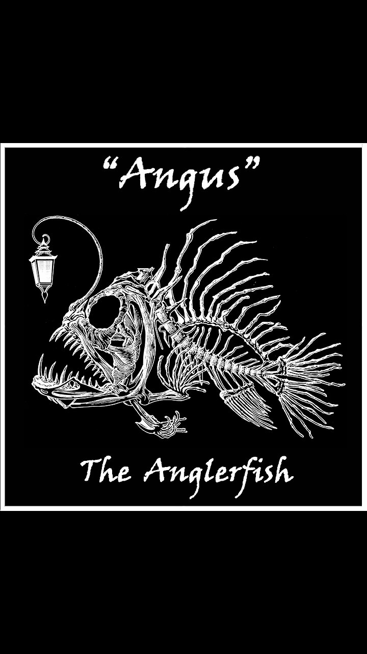 "Angus" The Anglerfish