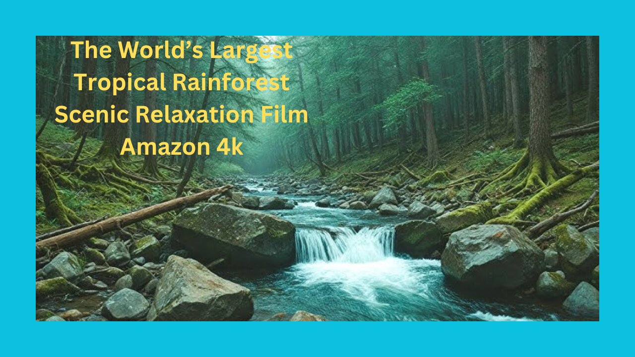 The World’s Largest Tropical Rainforest Scenic Relaxation Film Amazon 4k