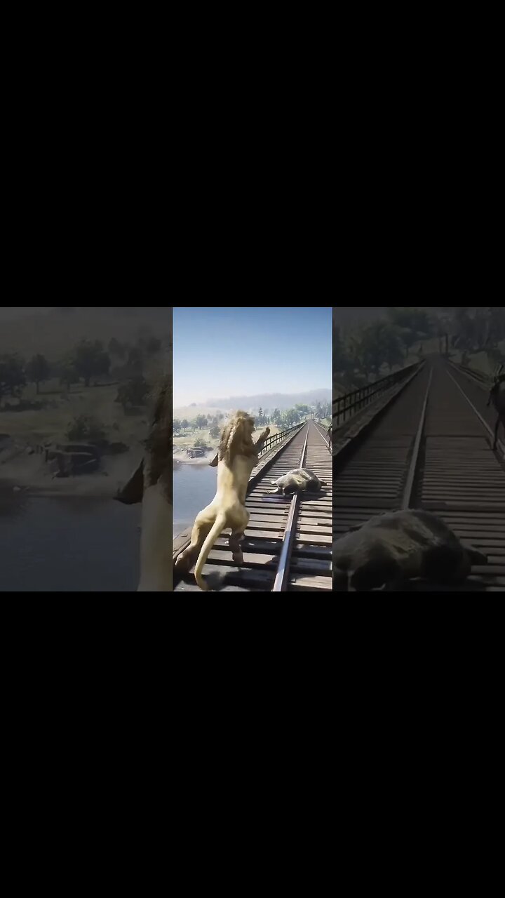 RdR2 | Train Hits animals | Animals Vs Train Simulation Game #traingame ...