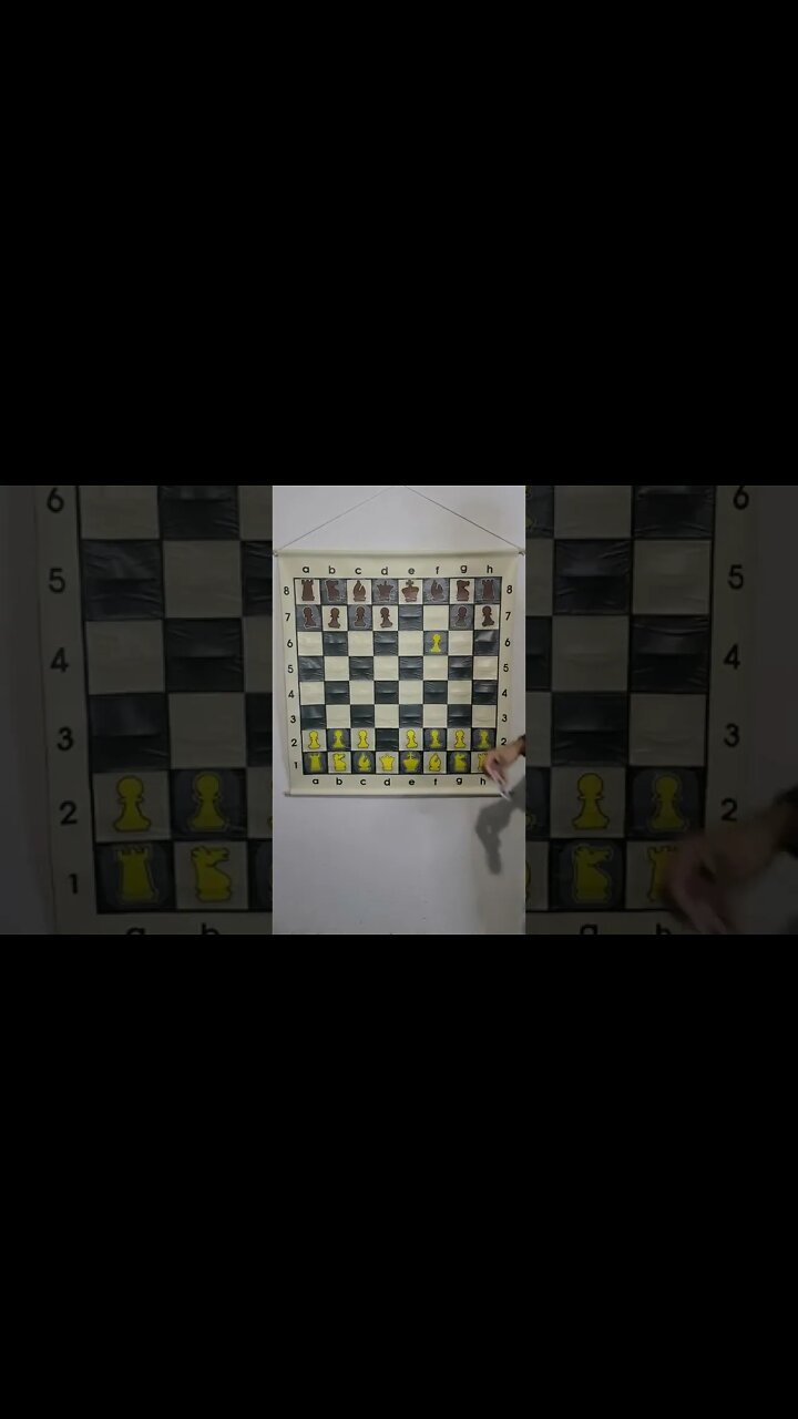 What is the Soller Gambit in Chess?