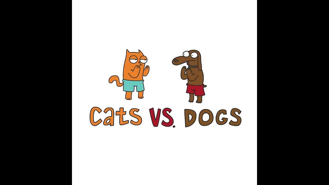 cat vs dog