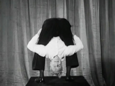 The Contortionist