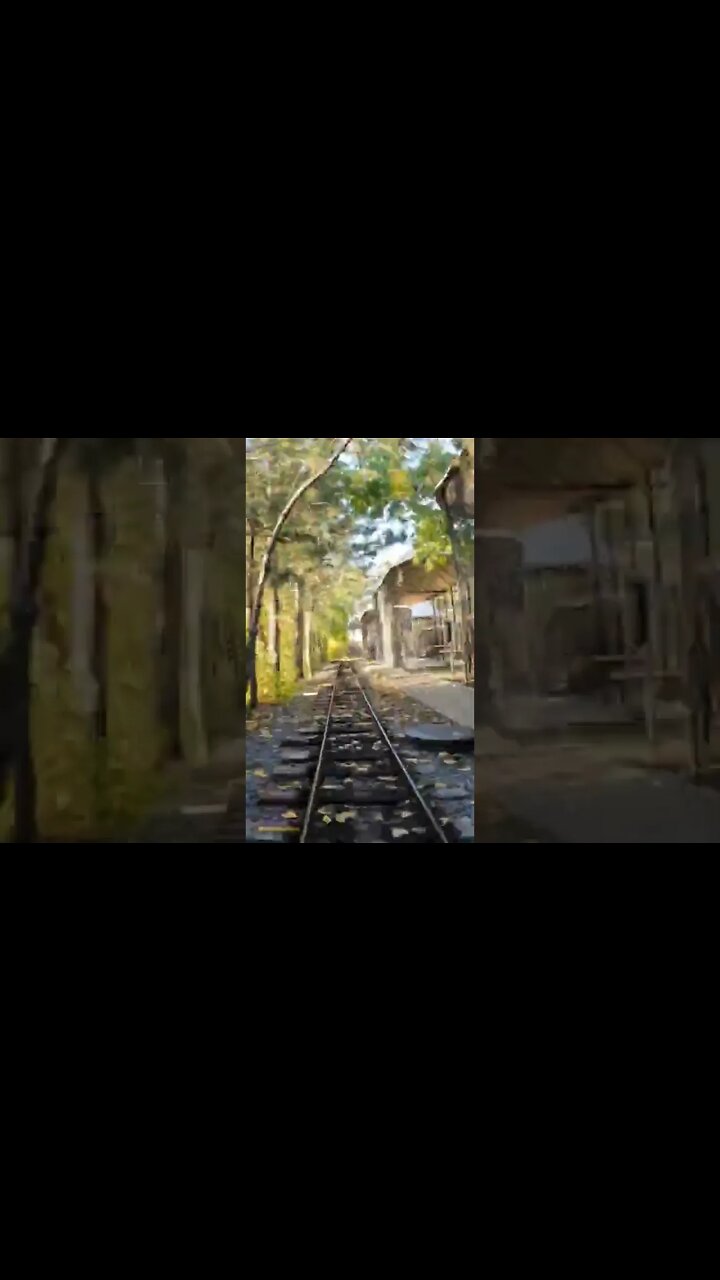 Wild Kingdom Train (Time Lapse POV) @LagoonPark