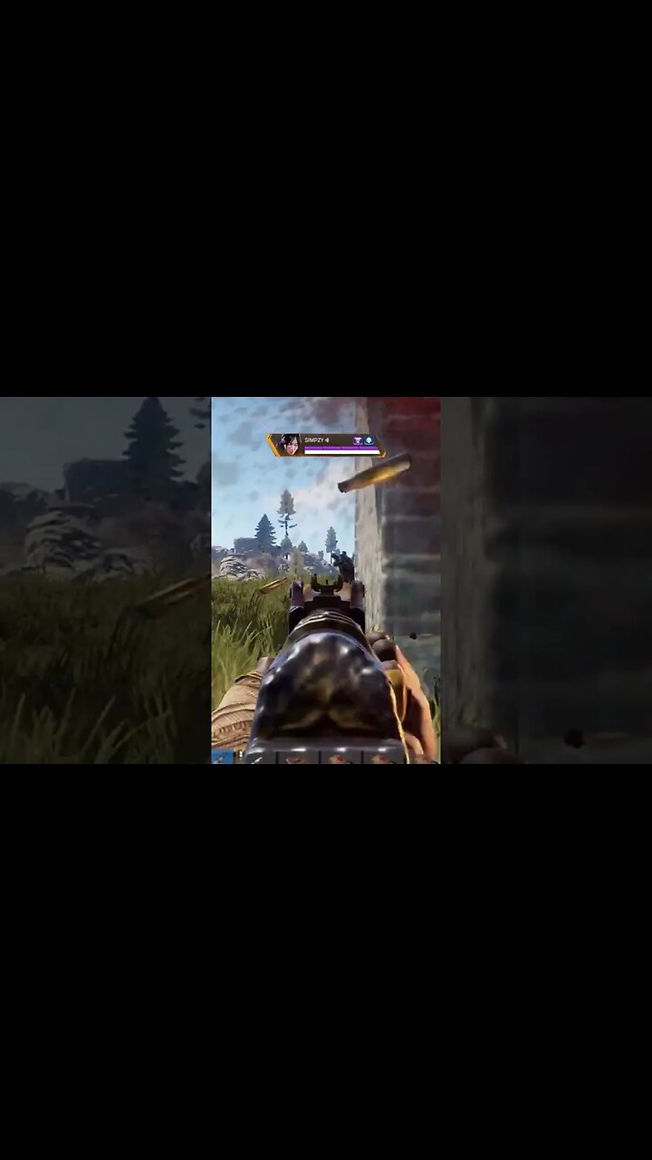 Genius Solo Counter Raid Rust