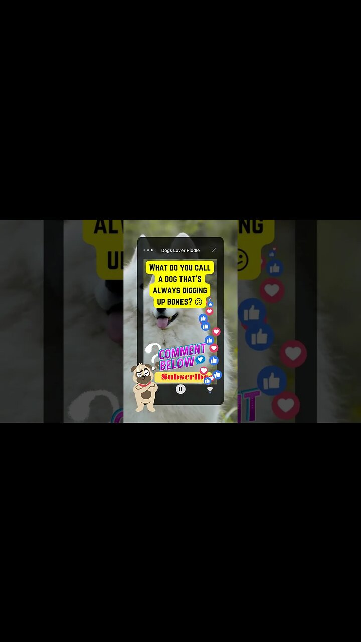 Dogs Riddle | Dogs Riddles in English | Riddles with Answer | Hard ...