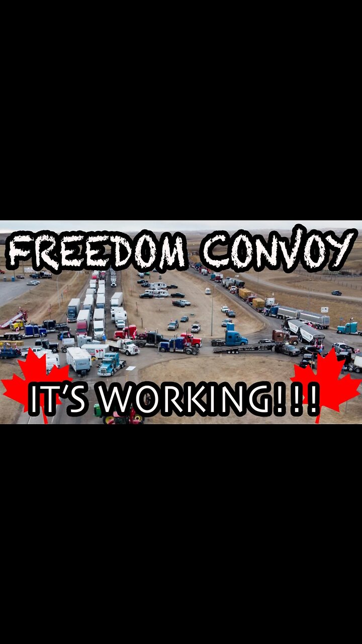 **MAJOR UPDATE** FREEDOM CONOY 2022 #shorts