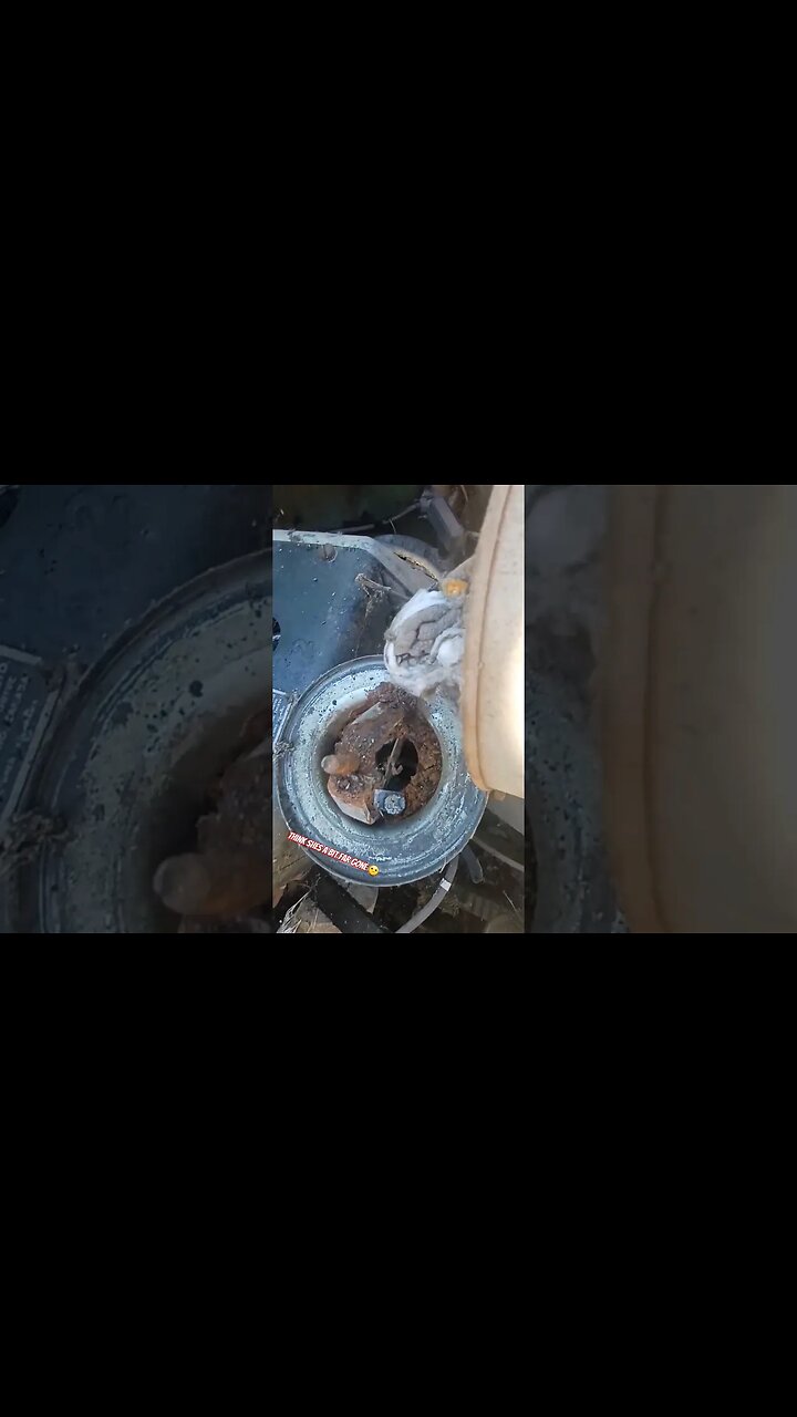 Is this 8x8 Argo too far gone? #shorts