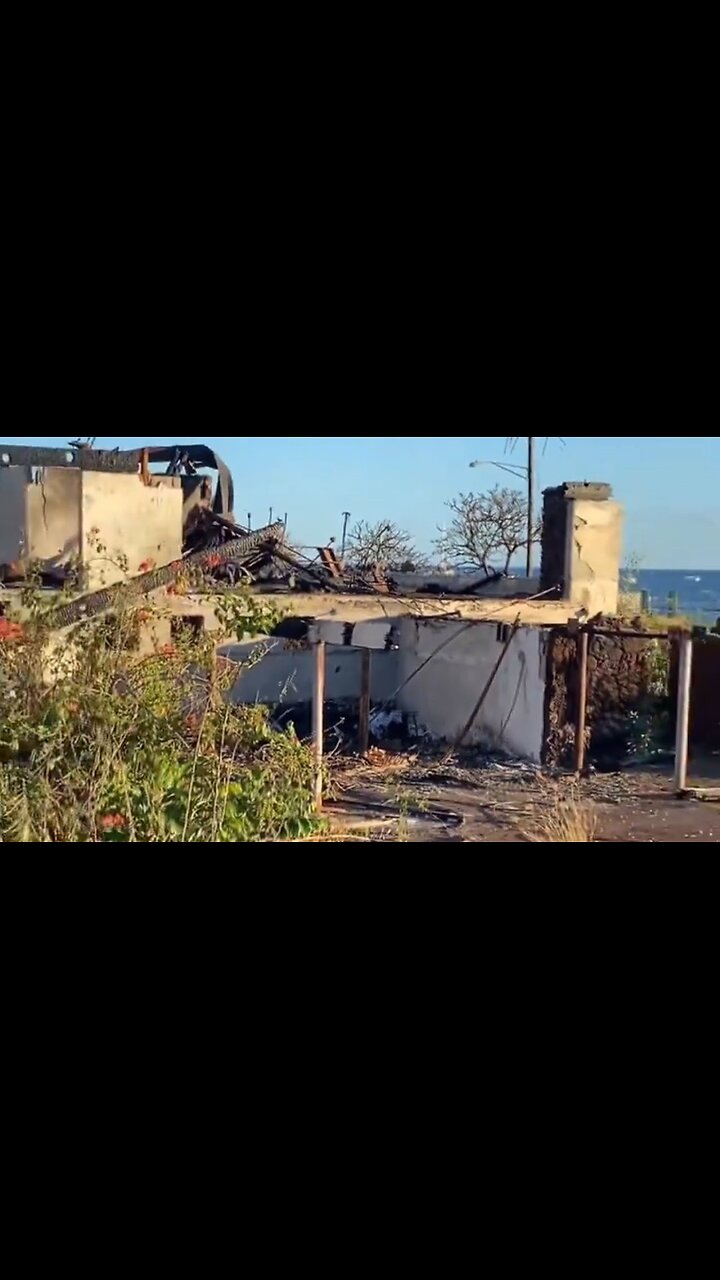 Update On Maui Residents Trying To Rebuild Is Heartbreaking (But Biden ...