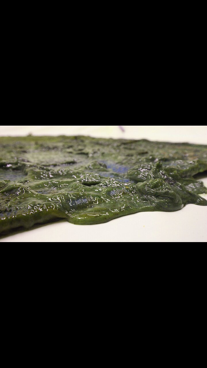 Cleaning The Cutest Rug Ever ! But How Did It Get So Slimy | Satisfying ...