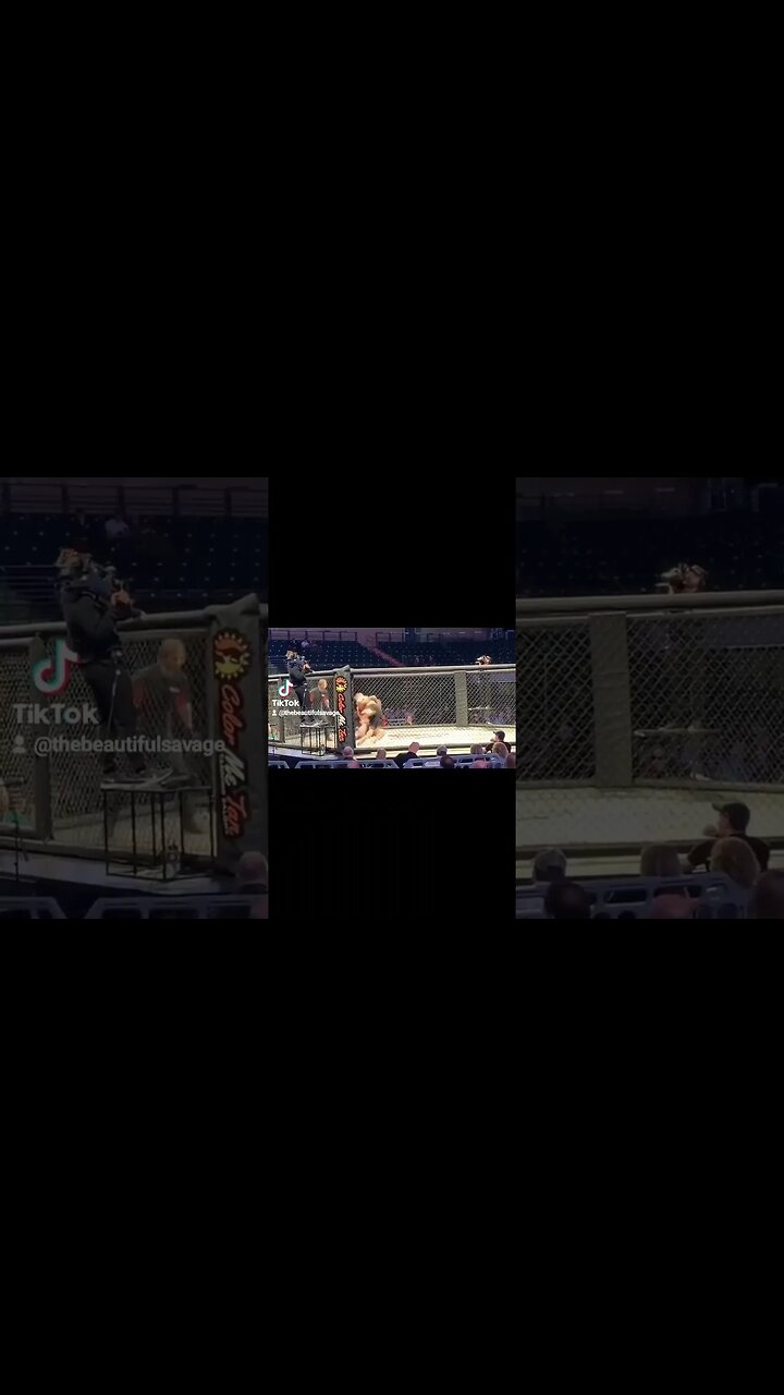 Old Man DEMOLISHES Young Bull! Old Man Jiu-Jitsu