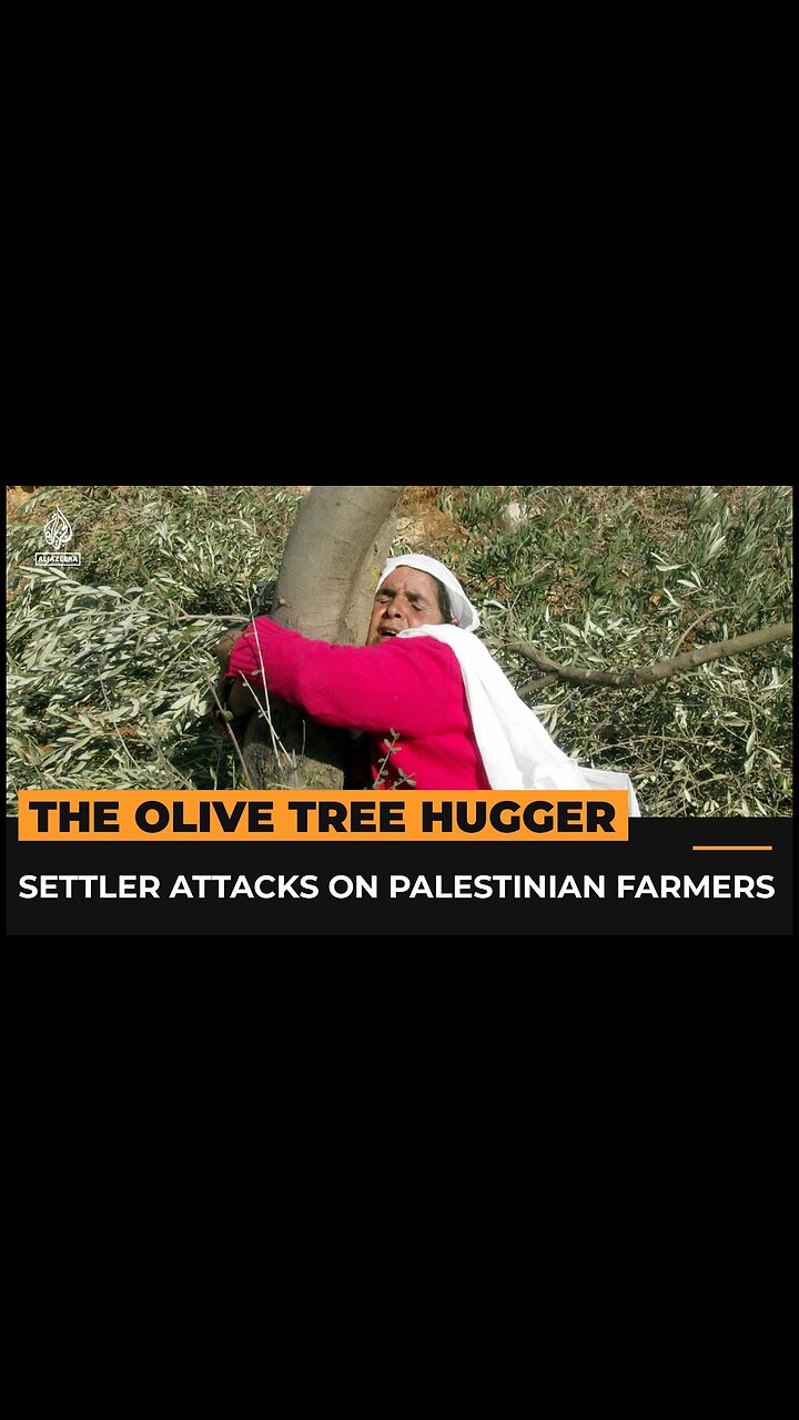 The tree hugger_ Settler attacks on Palestinian farmers and their olive ...