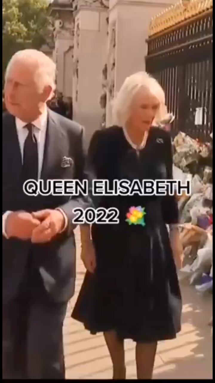Princess Diana’s death compared to the Queen LIZard