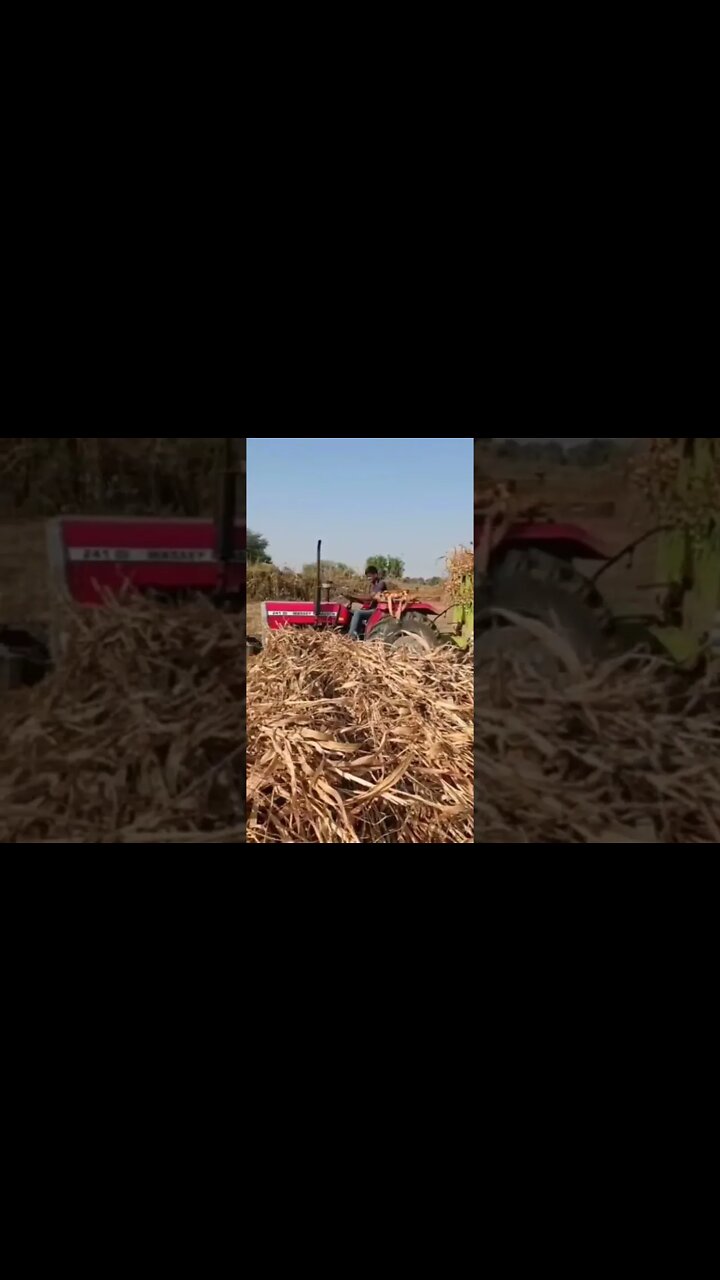 mr kokii ☺||#shorts #farming