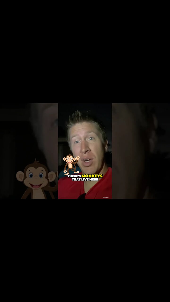 Florida Wild Monkeys - DID YOU KNOW?