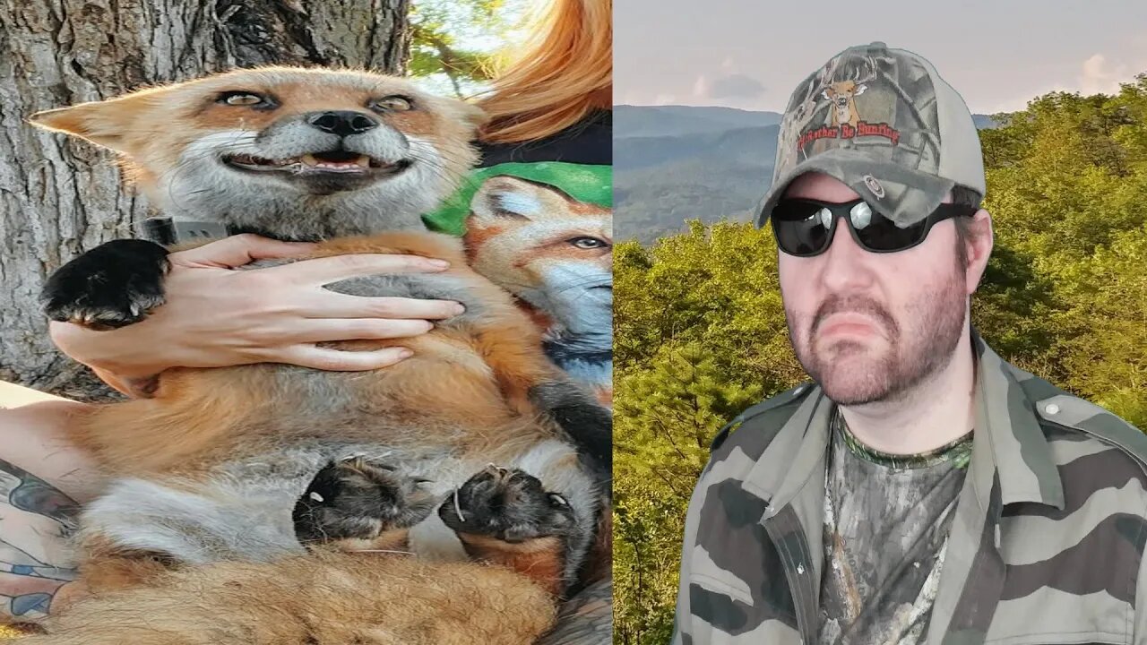 How To Walk A Fox (SaveAFox) REACTION!!! (BBT)