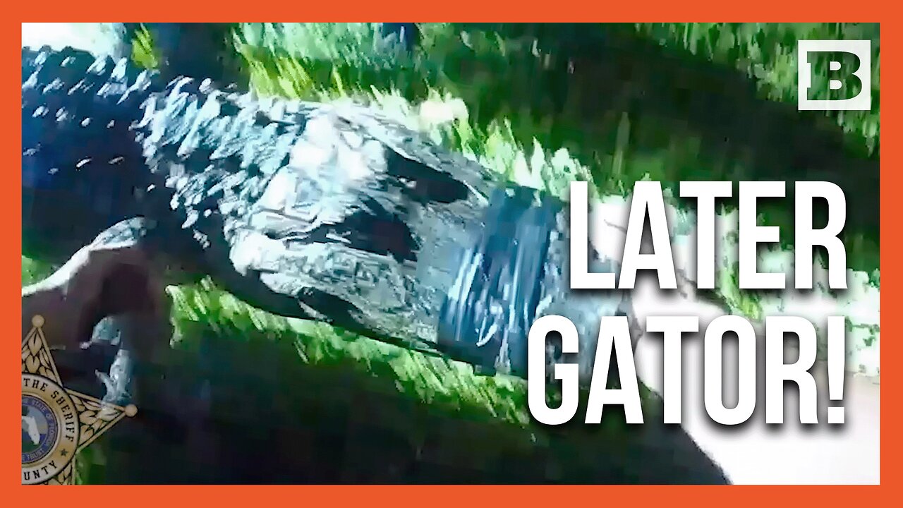 Gator Gate Crasher: 8-Foot Reptile Removed from Florida Property