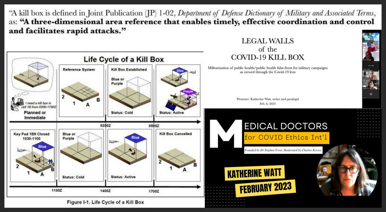 Kill Box: Extended Presentation of Legal Evidence to Covid-19 Military ...