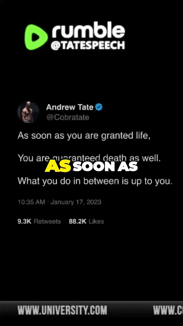TATE on the MEANING of Life #life #moment #instagram