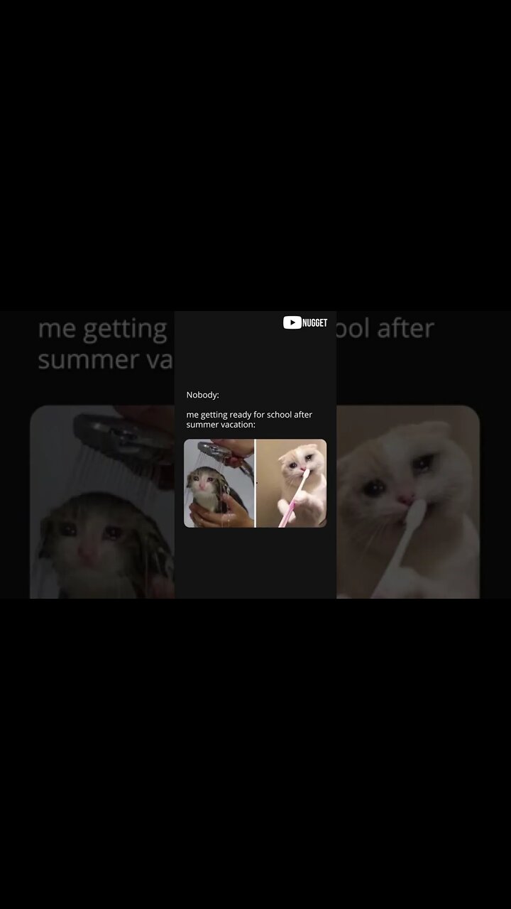 DAILY FUNNY Memes | Daily Memes Compilation | Funny Memes | Dank Memes ...