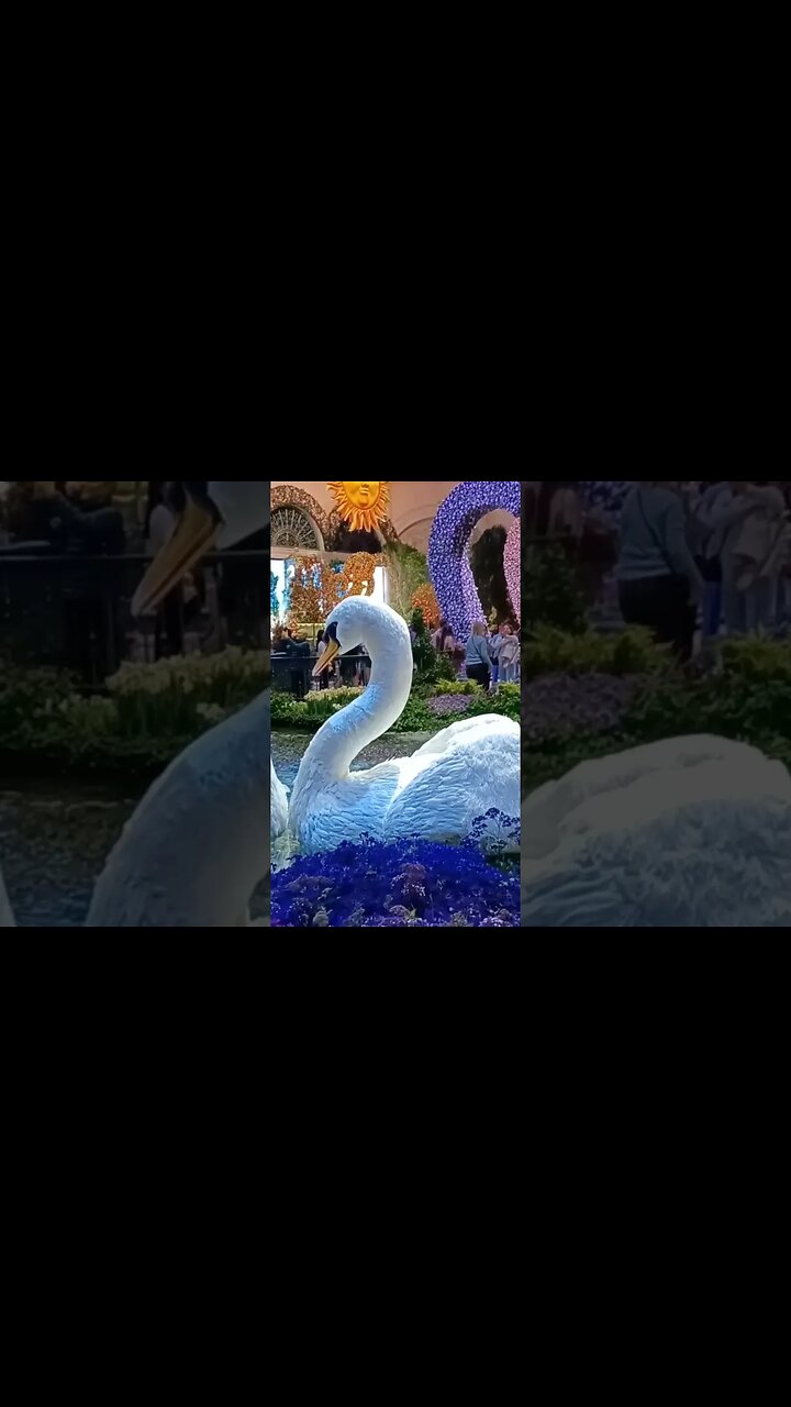 BELLAGIO 2023 SPRING EXHIBIT