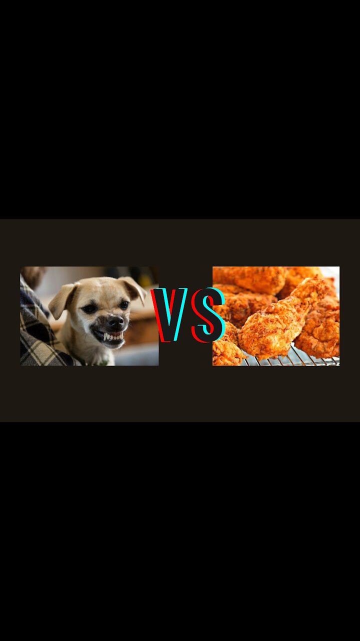 Lion heart chickens vs Dogs