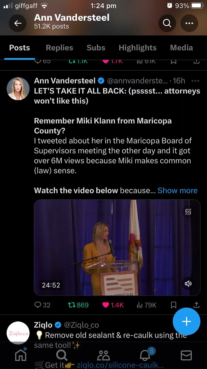 Miki Klann : how to win with government officials