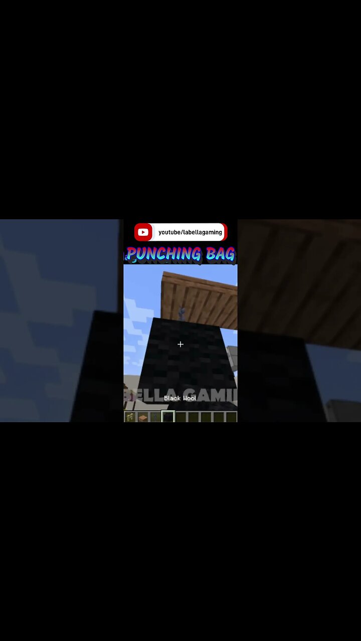 Punching Bag | Minecraft