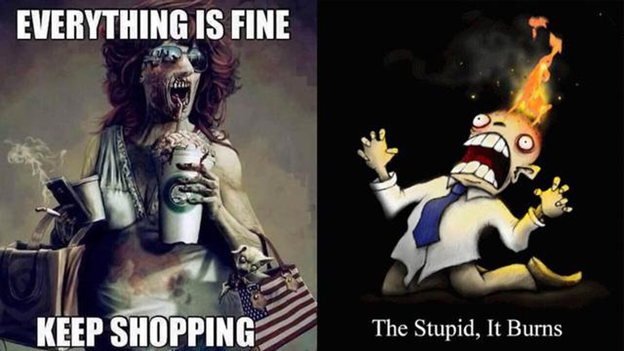 Max Igan Divide and Conquer in Clown World