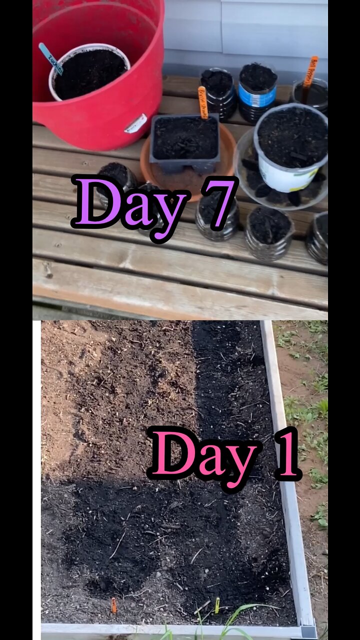 Plant growth daily update
