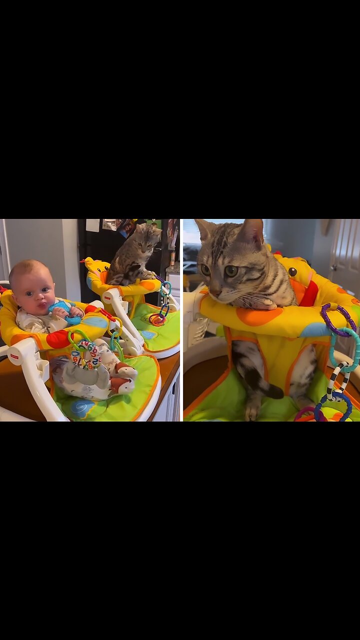 Adorable Baby & Cat Buddy Share Mealtime In Their Feeding Chairs