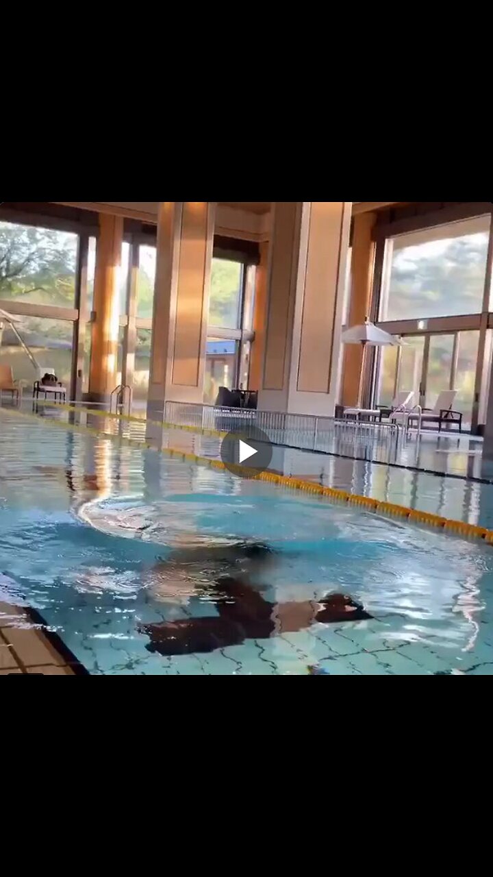 You can achieve anything if you don't skip leg day. Impressive skill.