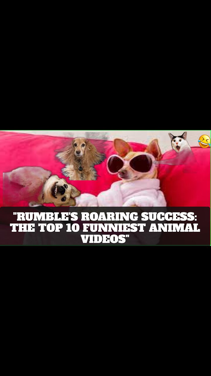 "Rumble's Roaring Success: The Top 10 Funniest Animal Videos"