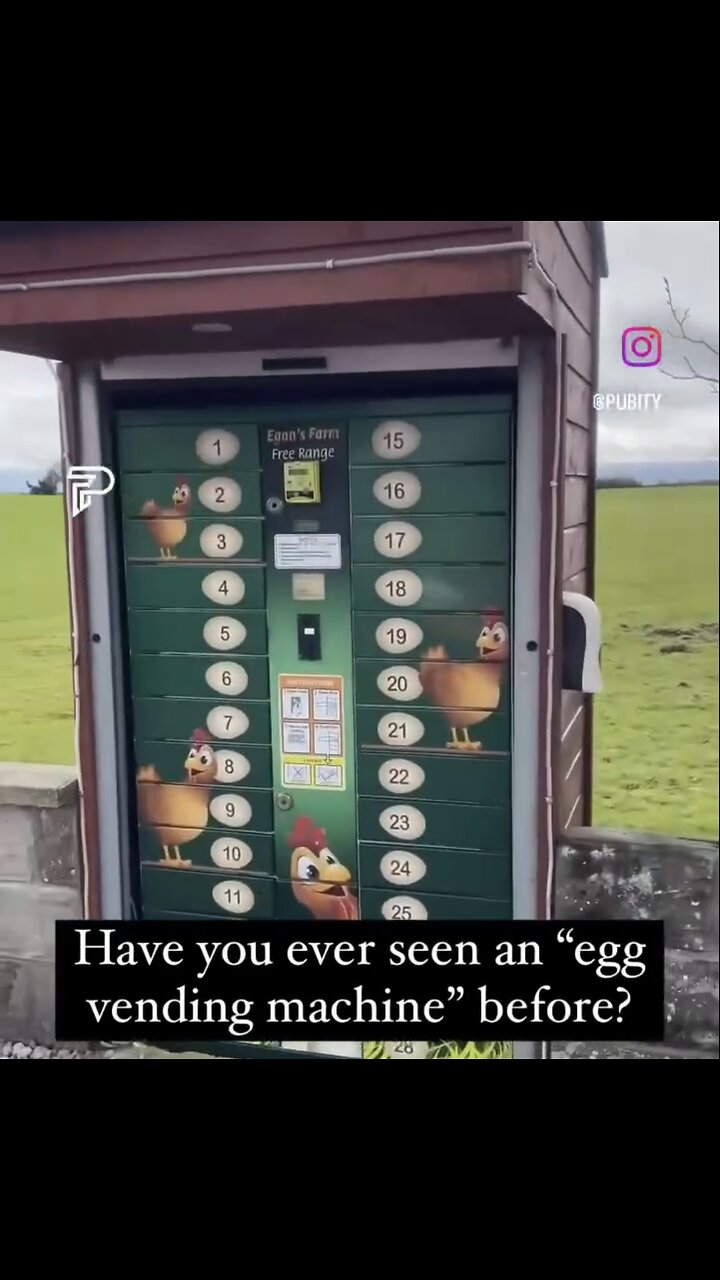 GET REAL FRESH PRODUCED FARM EGGS🏡🐓🥚AT EGG VENDING MACHINE🏠🎰🥚💸🚗💫