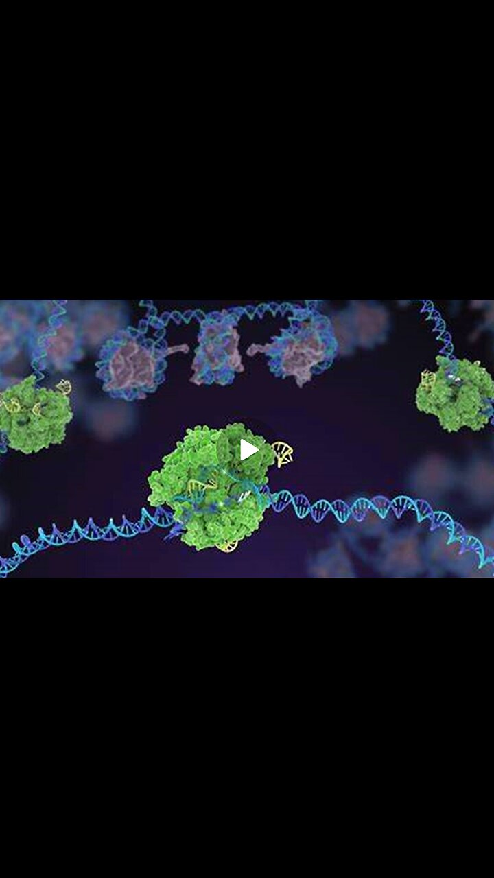 "The 'FDA' Approves New 'Crispr' Gene Editing Drug 'Casgevy' For Sickle Cell Disease"