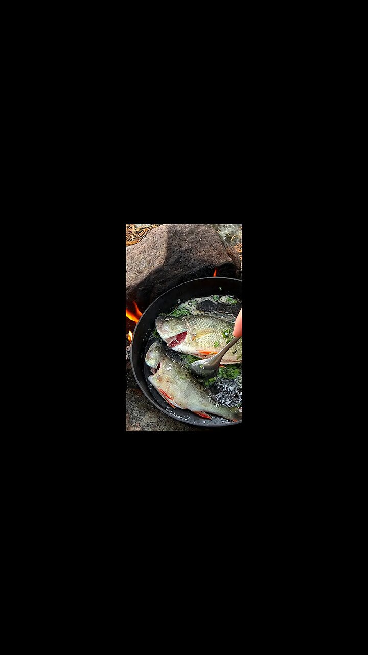Most delicious wild-caught fish! Catch & Cook Bushcraft #shorts