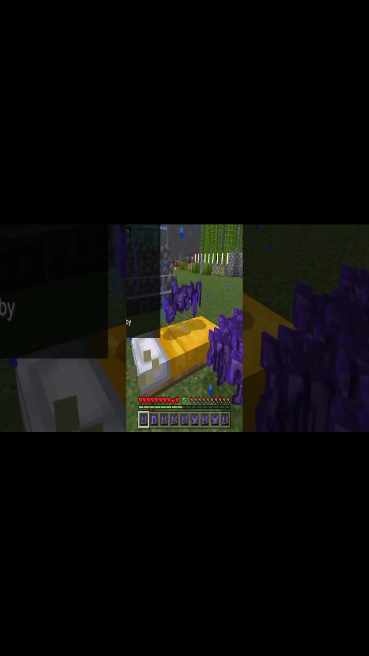 Infinite Armor Glitch Bedrock Minecraft