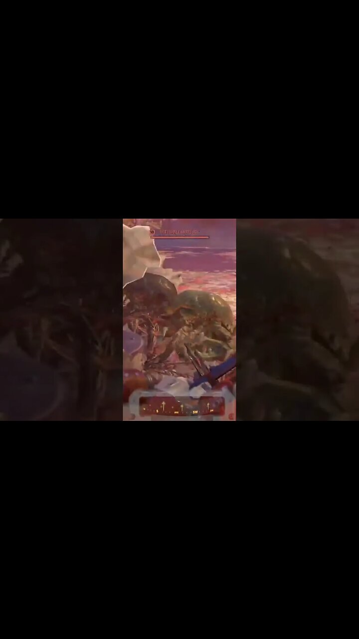 diving into the giant mutant crab (mirelurk) mosh pit in fallout 76