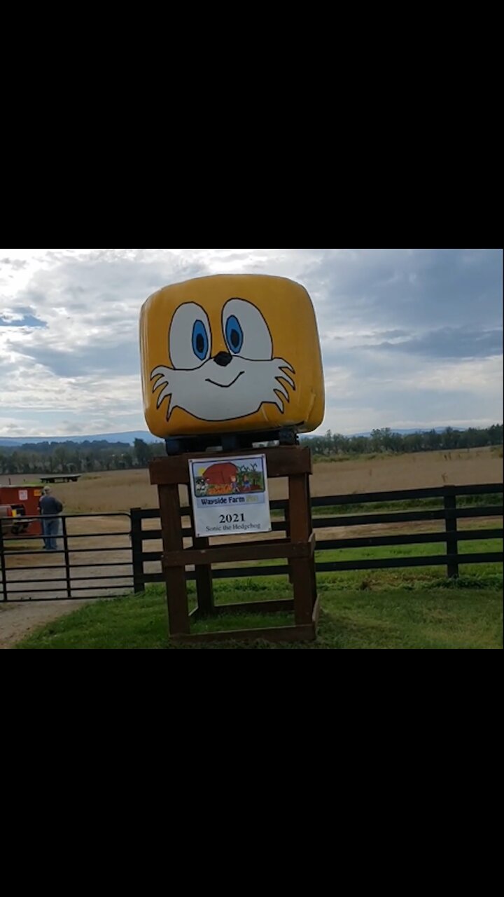 Sonic at Wayside Farm Fun 2021 (part 1)
