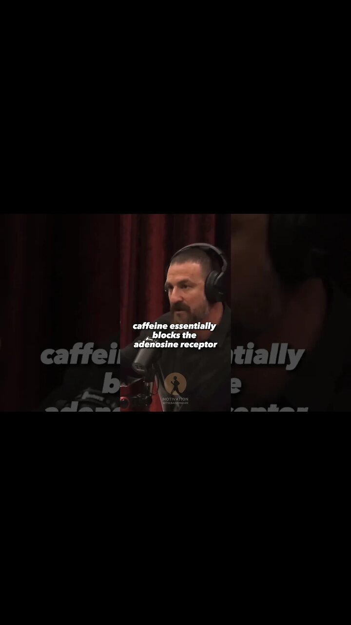 Joe Rogan Gets Educated On Caffeine By Neuroscientist Andrew Huberman #jre