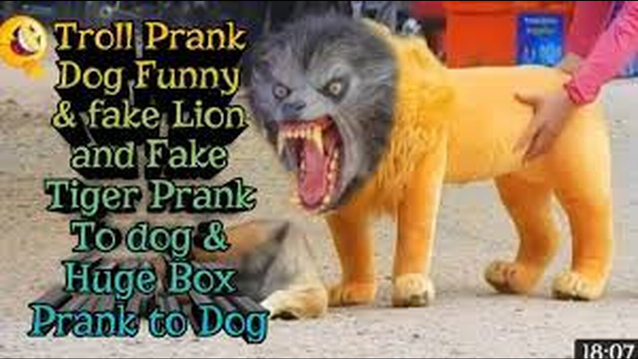 Troll Prank Dog Funny & fake Lion and Fake Tiger Prank To dog & Huge ...