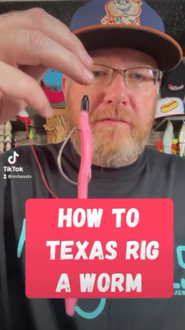 How to TEXAS RIG a worm