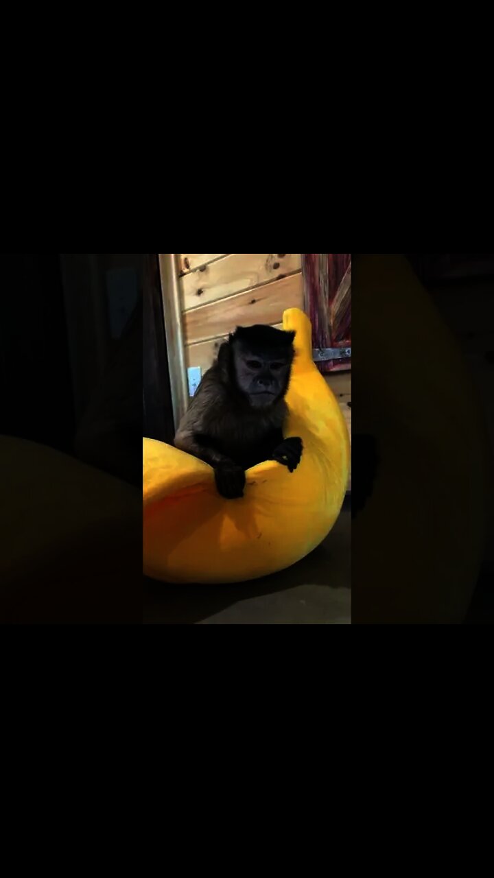 Famous Gaitlyn Live Video #Shorts