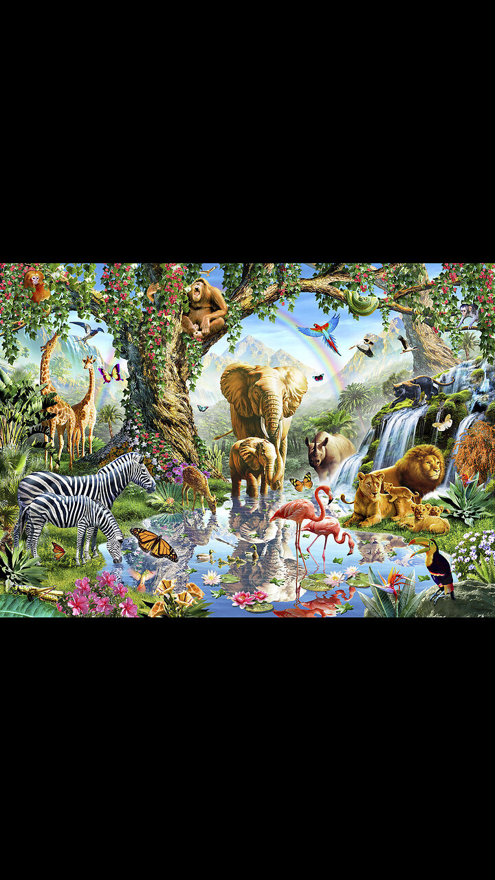 Animals of Asia 4K - Scenic Wildlife Film With Calming Music