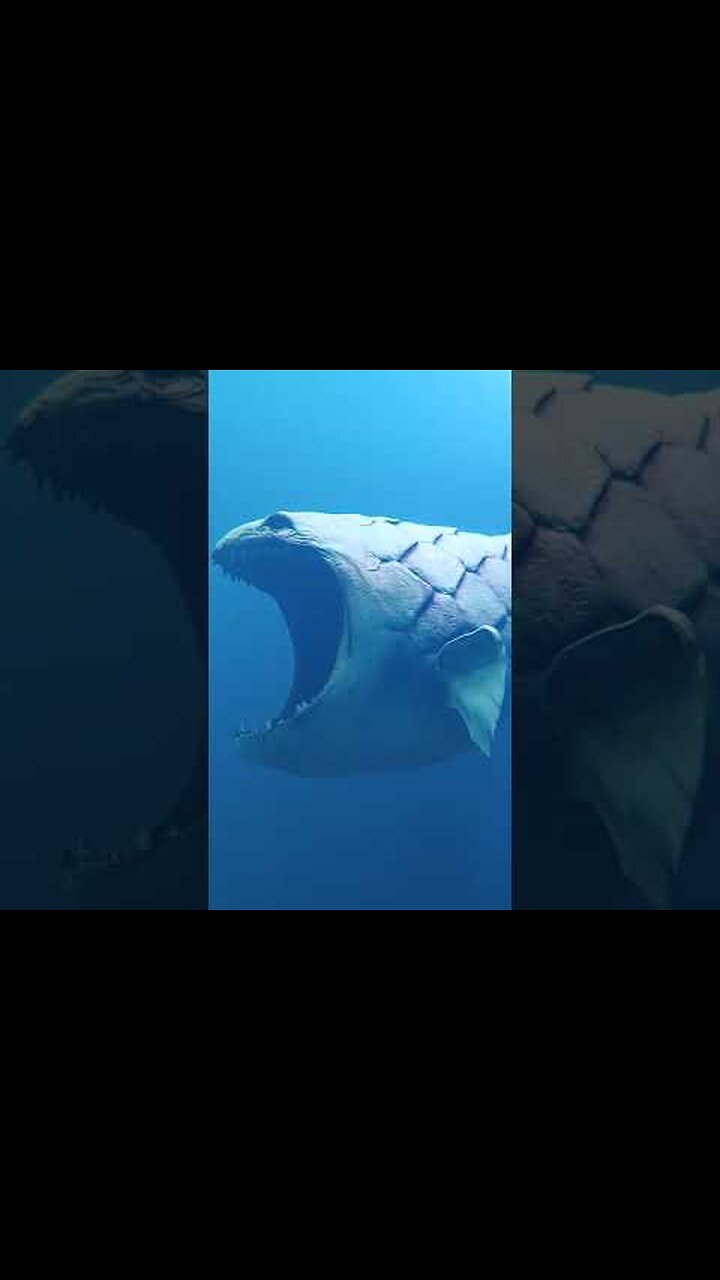 The Bloop is Back | The bloop