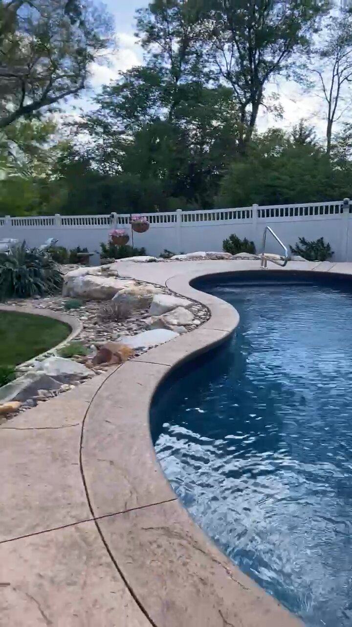 LOOK at this Backyard paradise!